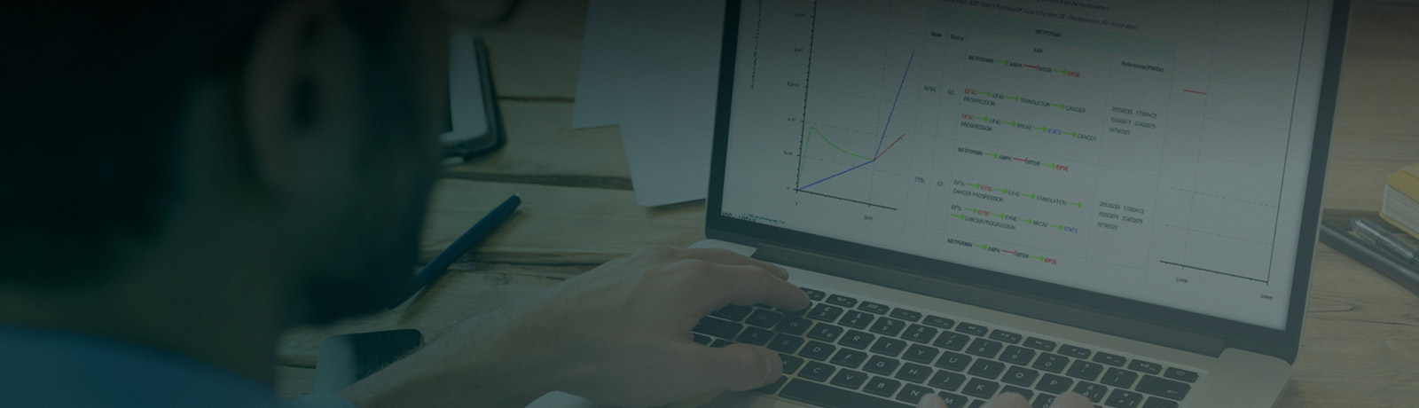 Computational Modeling via Cellworks Biosimulation Platform.